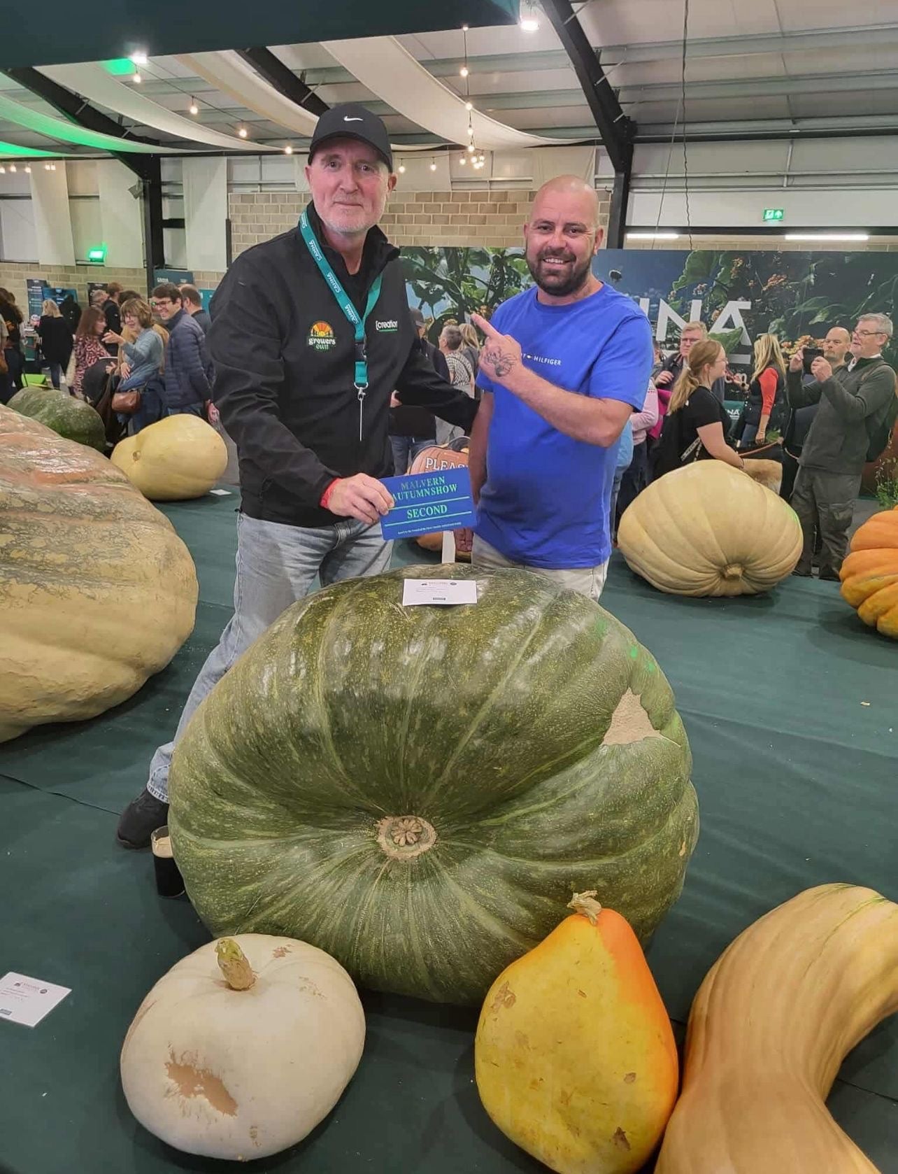 From Seed to 276kg – Lee Herrington Reflects on a Giant Growing Season ...