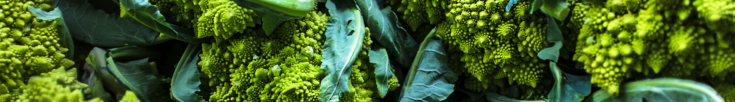 RETAIL - Environment – Creation Horticulture