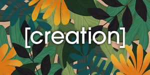 login – Creation Horticulture